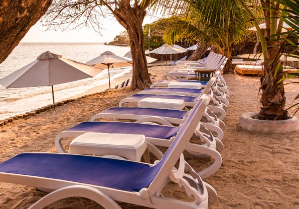 Isla Del Encanto - Barú (Adulto) - Alondra Express